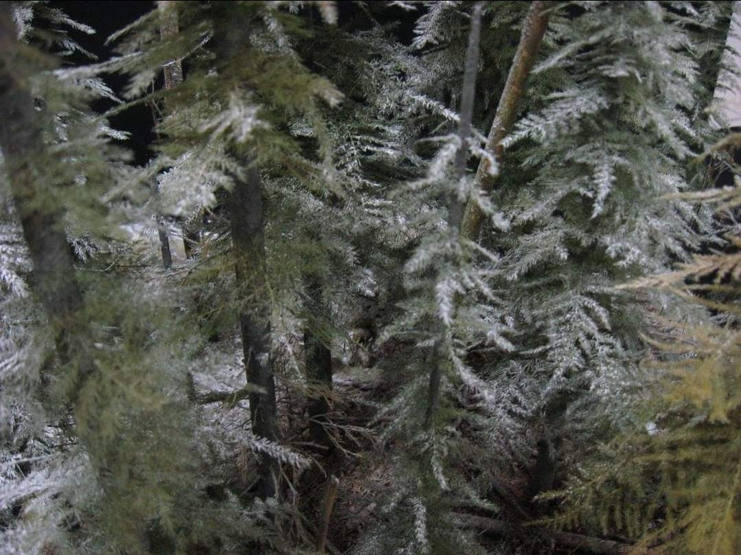 Pine Tree Kits/Materials – The Scenic Factory