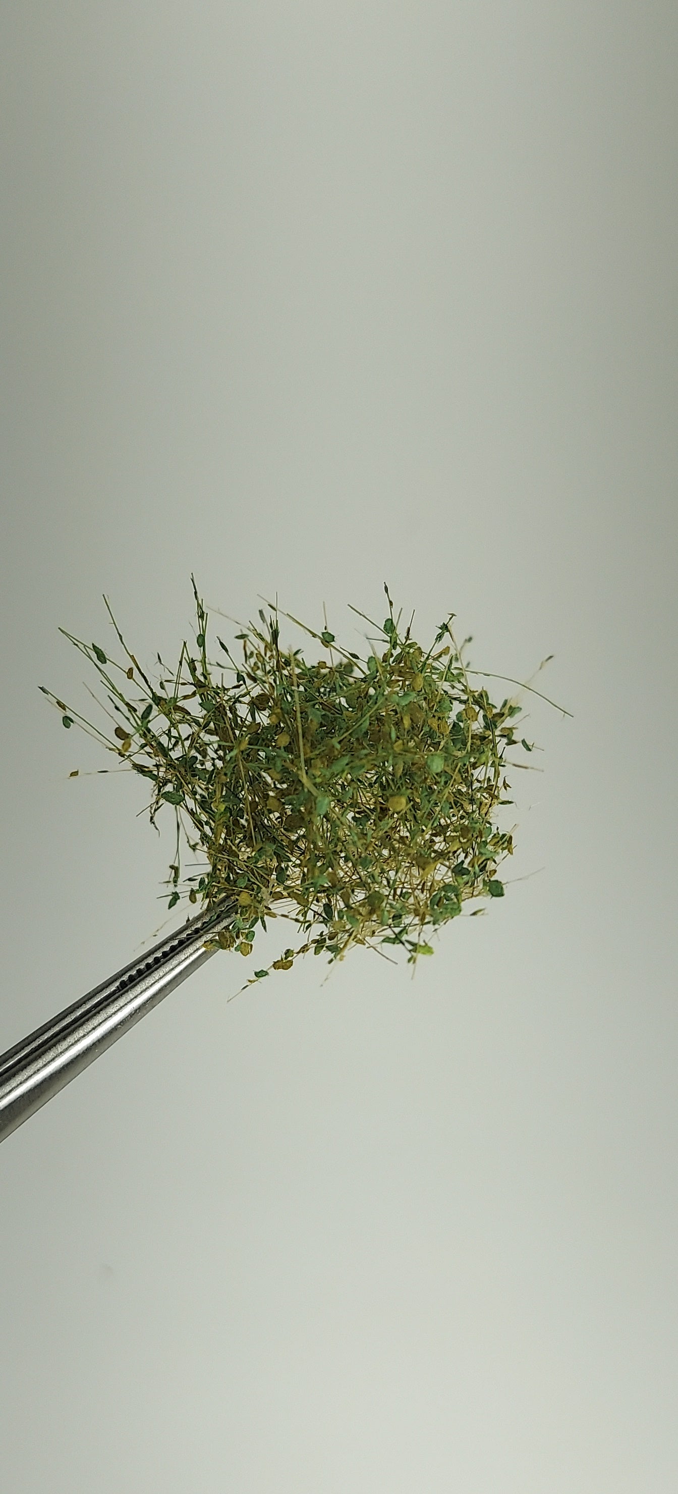 Leafy Bush Clumps 22mm +/- [LateSummer] – The Scenic Factory