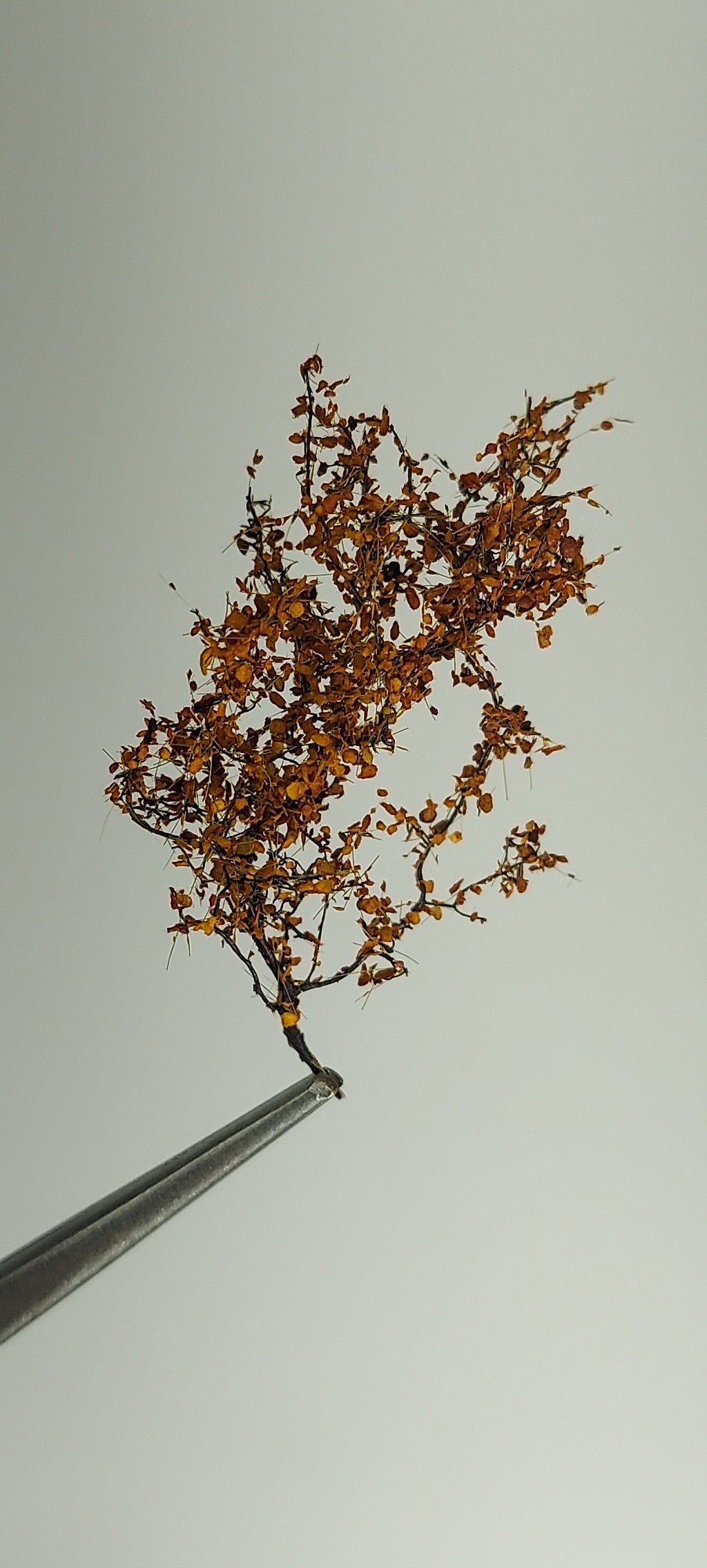 Field Bushes [Autumn Rust] – The Scenic Factory