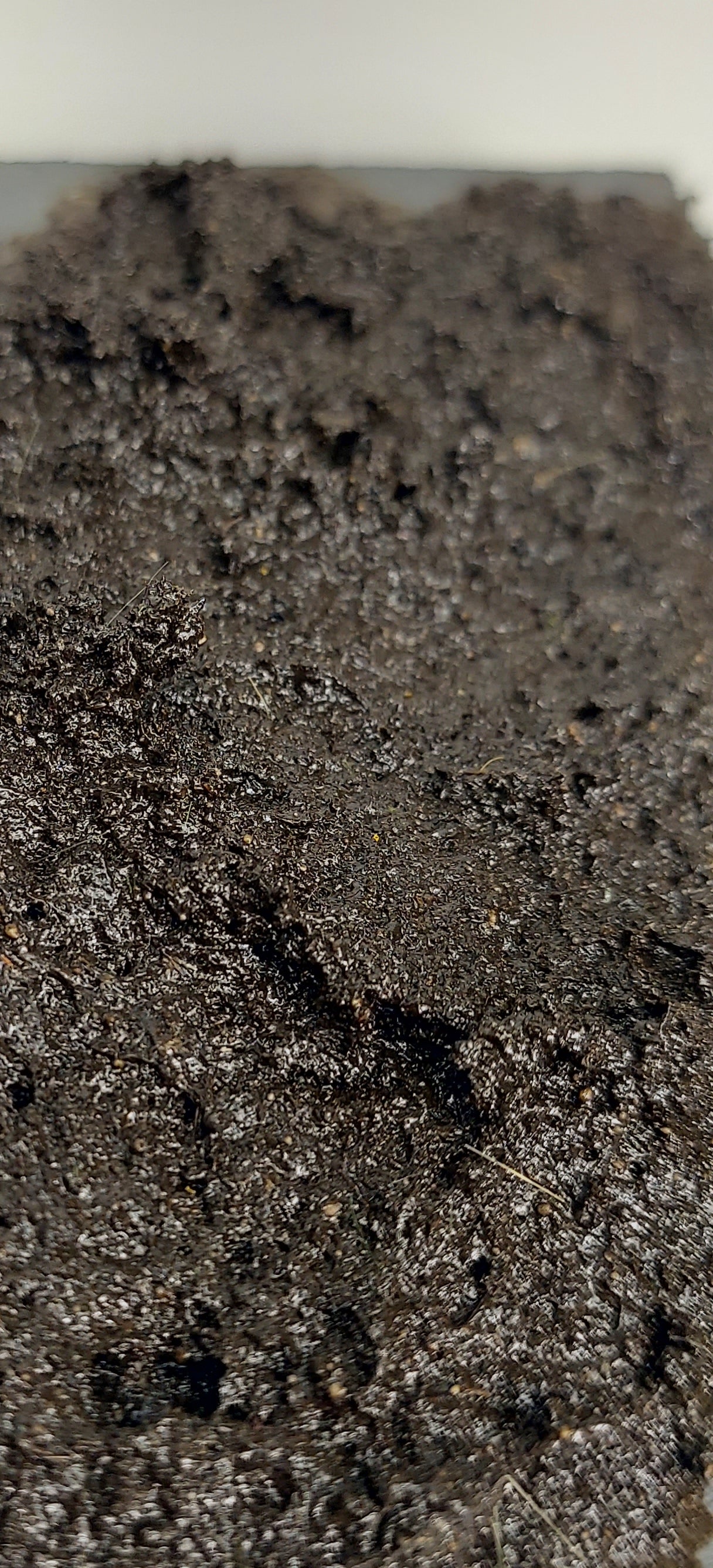 Ardennes Forest Wet Mud [Light Bodied] – The Scenic Factory