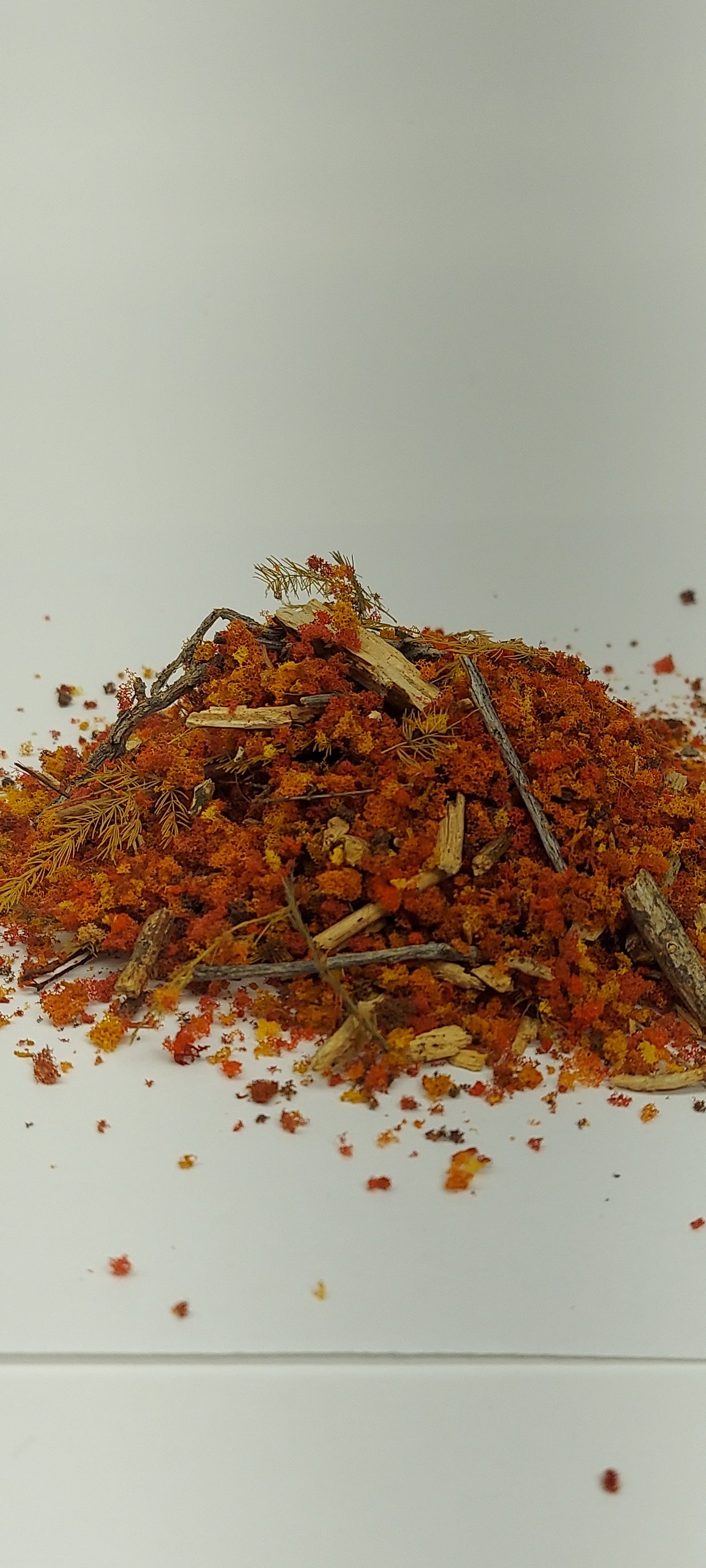Logging Forest Groundcover [Early Autumn] – The Scenic Factory